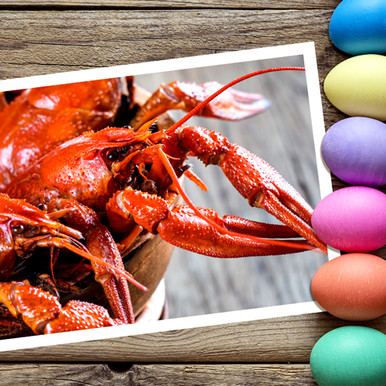 60 lb Live Crawfish *Easter* Special – louisianaseafoodshop.com